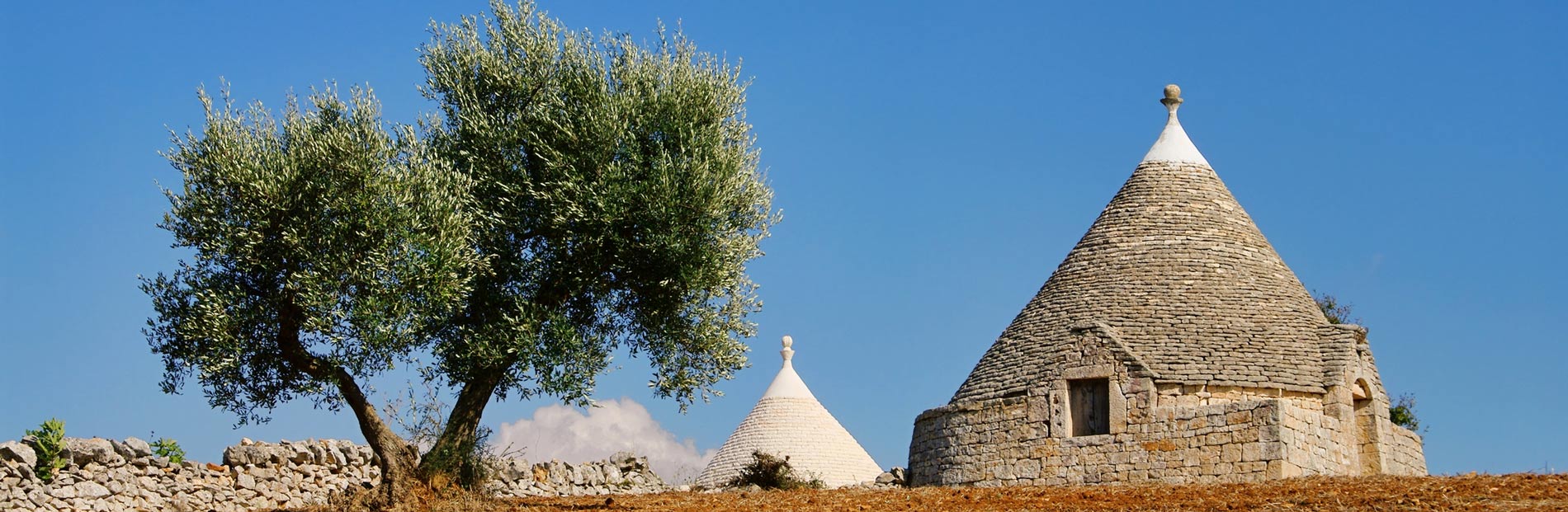 Ferienhäuser Ferienwohnung Ferienhaus in Apulien | Dein ...